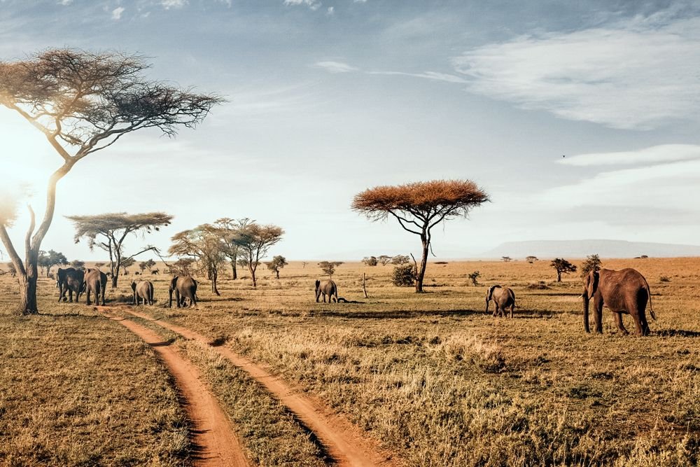 Southern Circuit Tanzania Destinations - Seko Tours