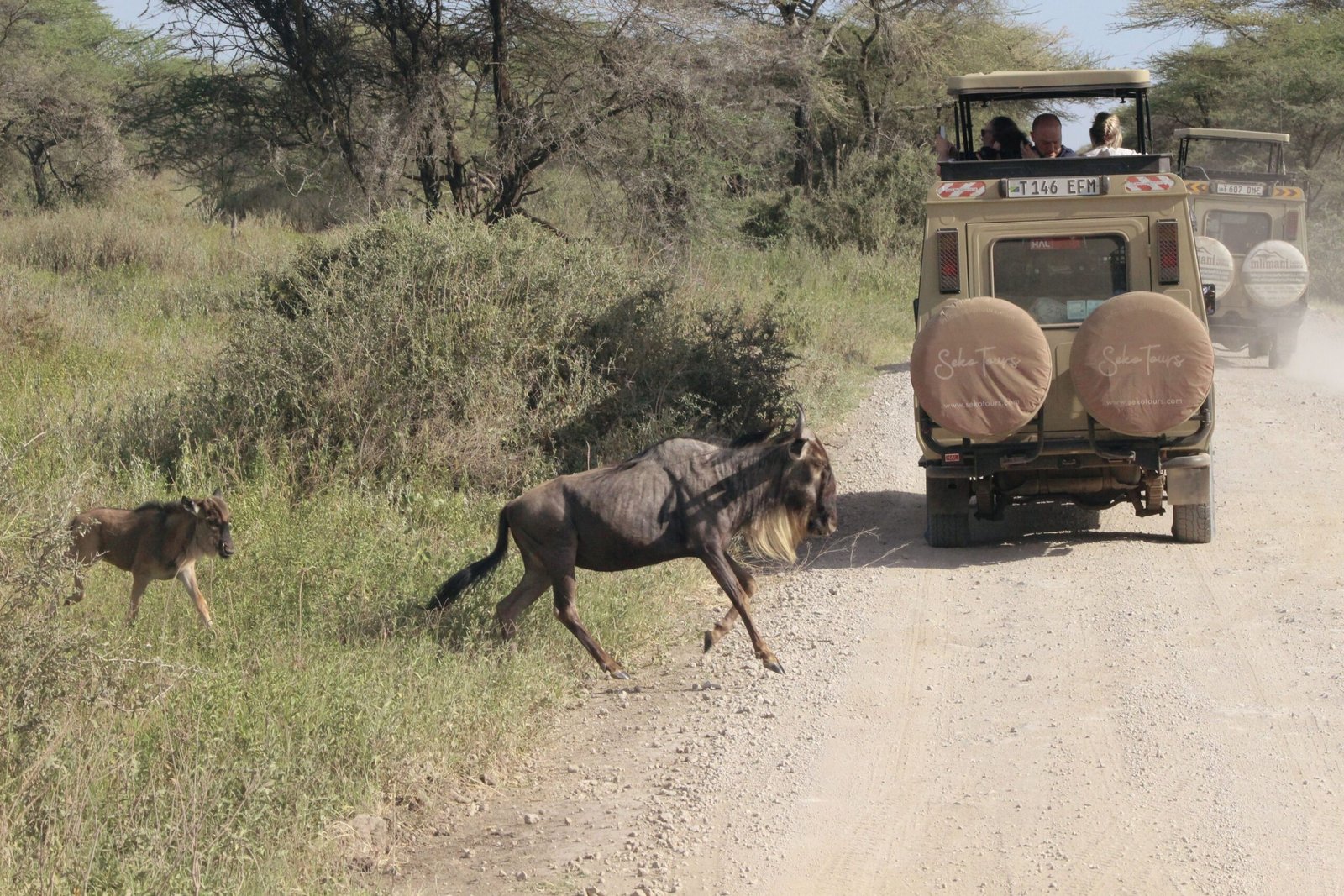 Serengeti National Park — Travel Guide in 2026